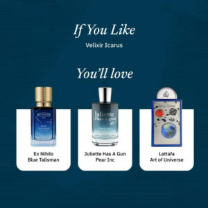 Velixir ICARUS Eau de Parfum 100ml – Scentphoria